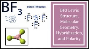 BF3 Lewis Structure, Molecular Geometry, Hybridization, and Polarity