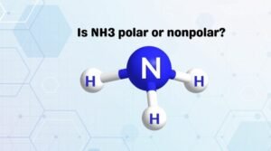 Is NH3 polar or nonpolar? | Know about Ammonia Polarity